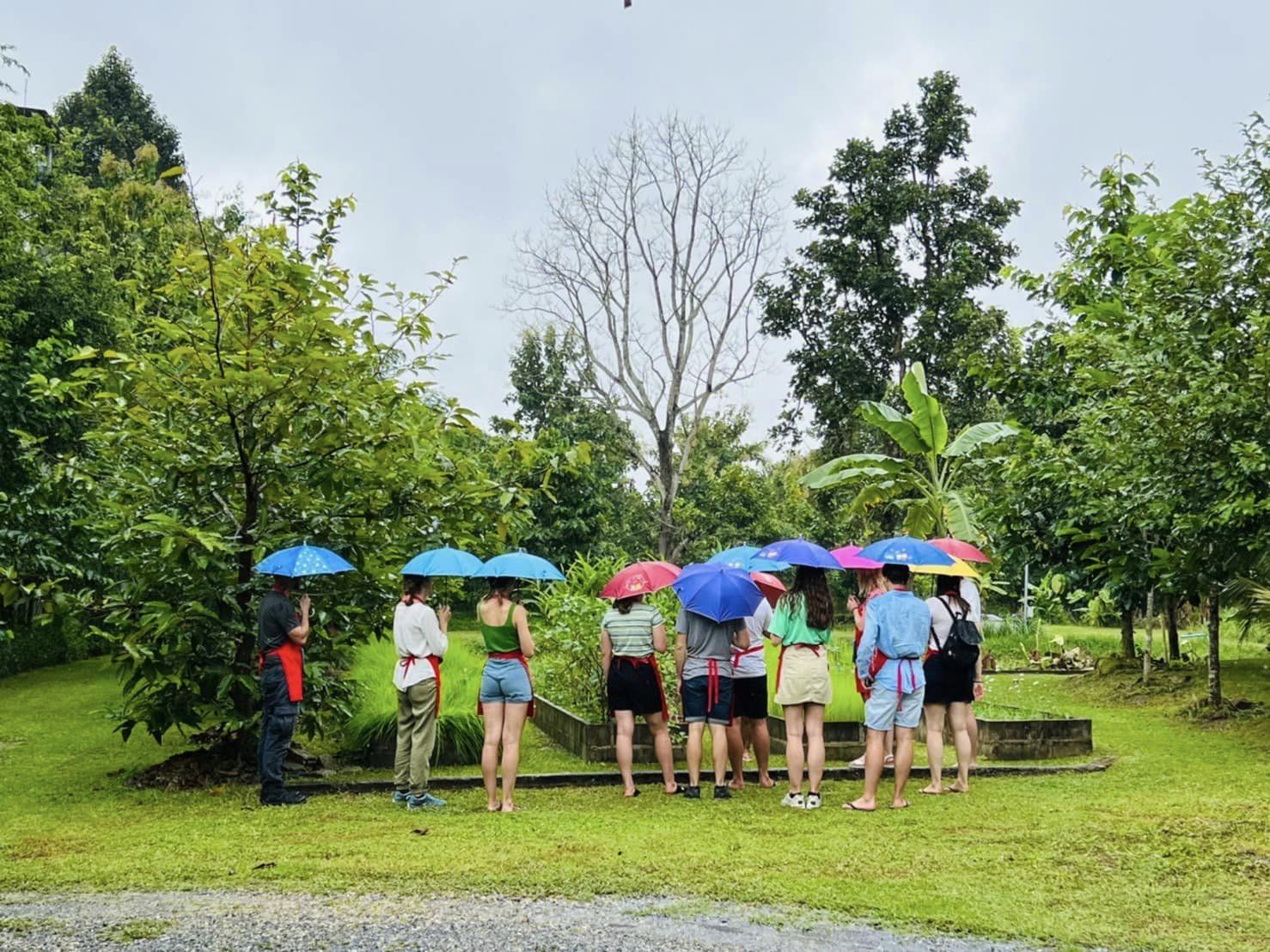 Rain Or No Rain, Thai Farm Cooking School Is Always Open | The First ...